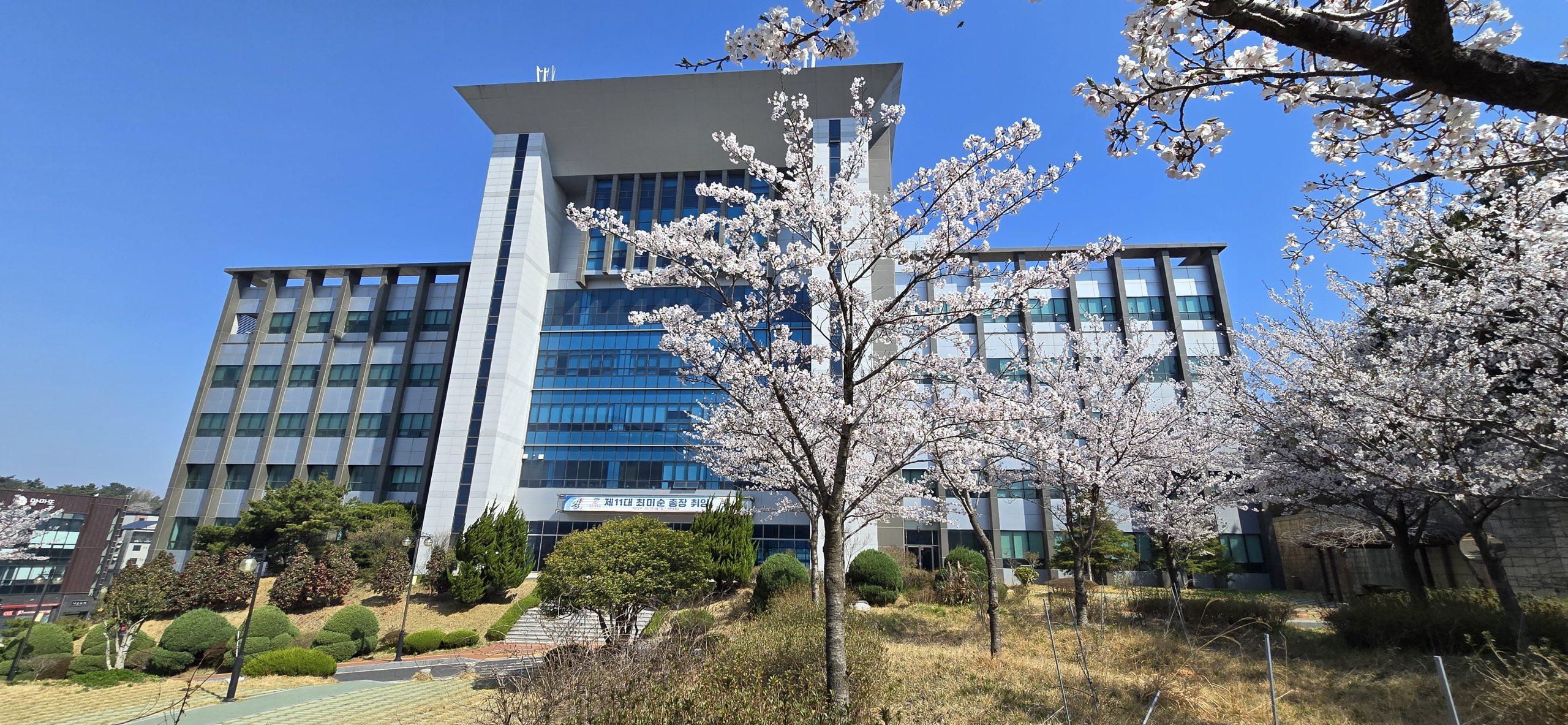 SEHAN – UNIVERSITY